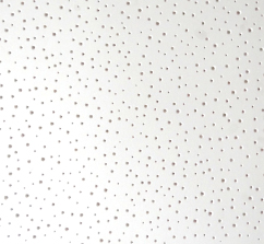 Calsi Calcium Silicate